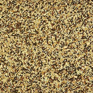 Kaytee Wild Bird Finch Food Blend, 8 lb