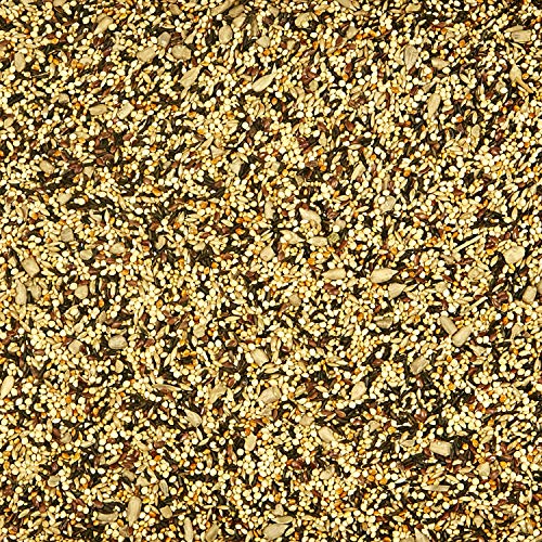 Kaytee Wild Bird Finch Food Blend, 8 lb