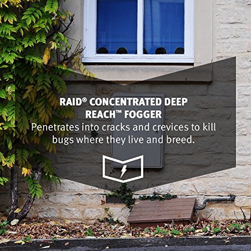 Raid Concentrated Deep Reach Fogger (Pack - 1)