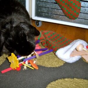 Crazy Jingle Tossing Rabbit Toy