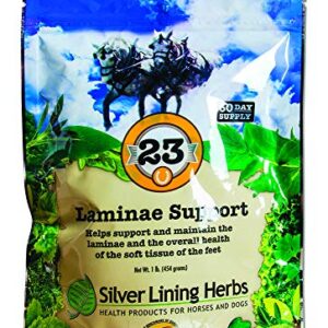 Silver Lining Herbs 23 Laminae Support - Natural Herbs Supporting Natural Temperature in Horse Feet and Legs - Herbal Supplement to Support Soft Tissues & Reduce Inflammation of Horse Foot - 1 lb Bag