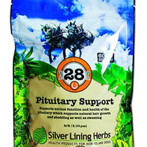 Silver Lining Herbs 28 Pituitary Support - Supports Equine Normal Function and Health Of the Pituitary - Natural Herbal Blend May Help Pituitary Dysfunction in Senior Horses - 1 lb Bag