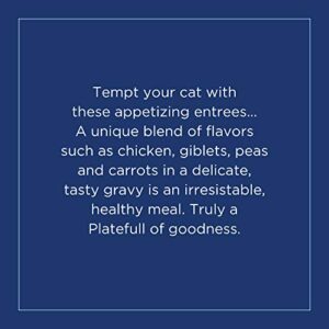 Natural Balance Platefulls Wet Cat Food Salmon, Chicken & Giblets Formula in Gravy, 3 Ounce Pouch (Pack of 24), Grain Free