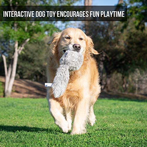 Hyper Pet Doggie Tail Interactive Plush (Wiggles, Vibrates, and Barks – Dog Toys for Boredom and Stimulating Play)