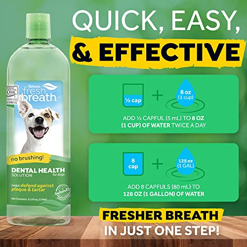 TropiClean Fresh Breath Original | Dog Oral Care Water Additive | Dog Breath Freshener Additive for Dental Health | VOHC Certified | Made in the USA | 33.8 oz.