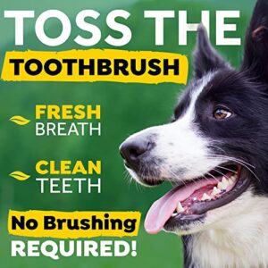 TropiClean Fresh Breath Original | Dog Oral Care Water Additive | Dog Breath Freshener Additive for Dental Health | VOHC Certified | Made in the USA | 33.8 oz.