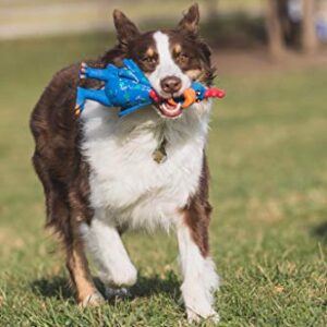 Multipet's 11.5-Inch Latex Polka Dot Globken Chicken Dog Toy