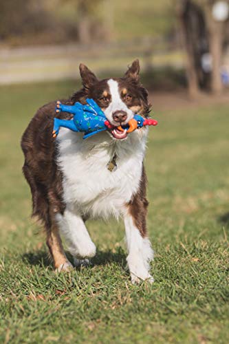 Multipet's 11.5-Inch Latex Polka Dot Globken Chicken Dog Toy