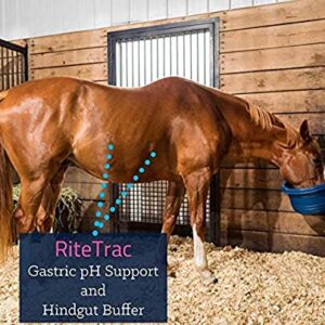 Kentucky Equine Research RiteTrac: Total Digestive Tract Support for Horses, 3 kg (25 Servings)