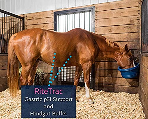 Kentucky Equine Research RiteTrac: Total Digestive Tract Support for Horses, 3 kg (25 Servings)