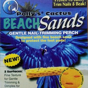 Polly's Beach Sands Bird Perch, Small