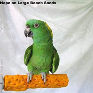 Polly's Beach Sands Bird Perch, Small