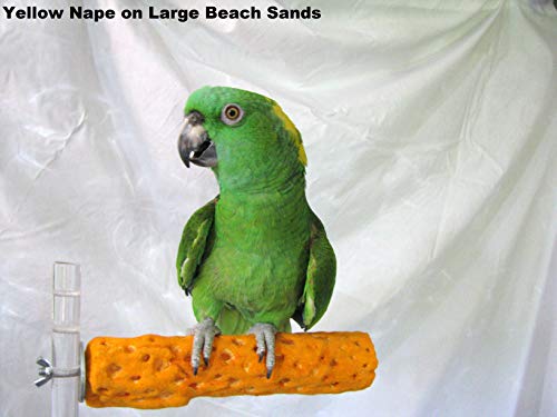 Polly's Beach Sands Bird Perch, Small