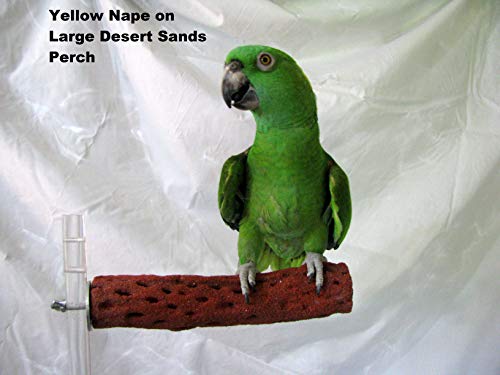 Polly's Desert Sands Bird Perch, Small