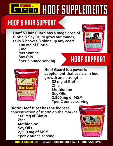 Hoof & Hair Guard 10 lb, Equine Hoof Strengthening & Coat Conditioning Supplement