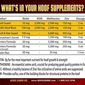 Hoof & Hair Guard 10 lb, Equine Hoof Strengthening & Coat Conditioning Supplement