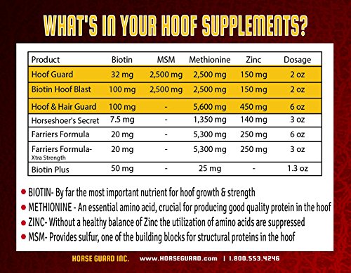 Hoof & Hair Guard 10 lb, Equine Hoof Strengthening & Coat Conditioning Supplement