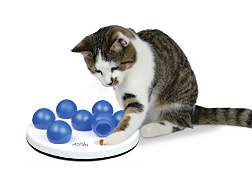 TRIXIE Pet Products Solitaire Game for Cats, White/Blue, 7.75 x 7.75 x 3 in. (4594)