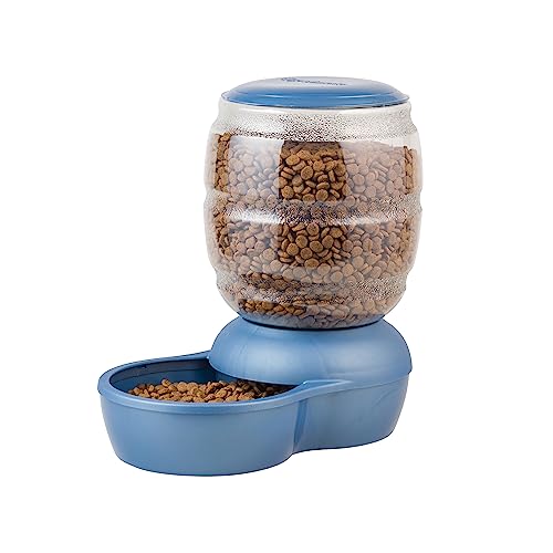 Petmate 24528 Replendish Feeder Automatic Cat and Dog Feeder, Pearl Peacock Blue, 10 LB