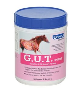 uckele gut horse supplement - equine vitamin & mineral supplement - 2 pound (lb)