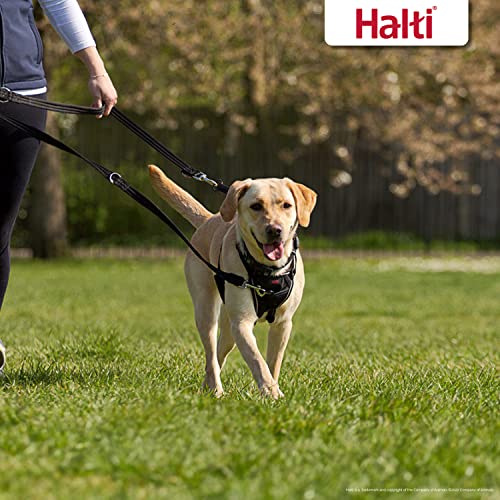 Halti Training Lead For Dogs, Double Ended Dog Training Leash for Halti Head Collar and No Pull Harness, Black Training Leash for Medium Dogs and Large Dogs