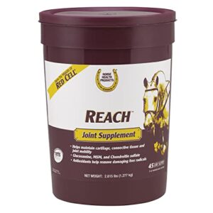 horse health reach joint pellets 2.81 pounds