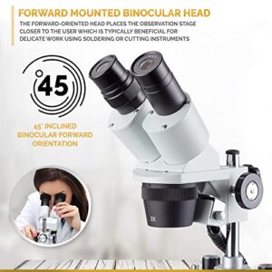 AmScope SE306R-PY-LED Forward-Mounted Binocular Stereo Microscope, WF10x and WF15x Eyepieces, 20X/30X/40X/60X Magnification, 2X and 4X Objectives, Upper and Lower LED Lighting, Reversible Black/White Stage Plate, Pillar Stand, 120V