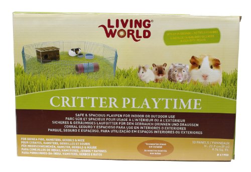 Living World Critter Play Time