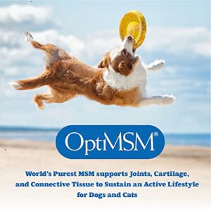 Ultra-Pure MSM for Dogs, Cats & Horses, Supports Hip, Joint and Connective Tissue for Healthy Cartilage and Mobility Opti MSM the Purest in the World by NWC Naturals 1 lb Canister (Model: POWDER)