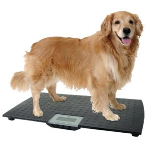 W.C Redmon Precision Digital Pet Scales, Large