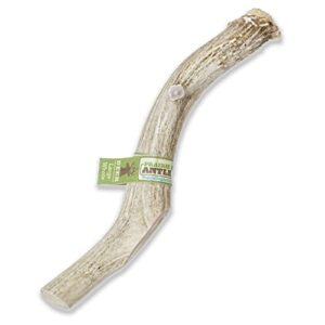 prairie dog pet products deer large antler treat, 8-9"