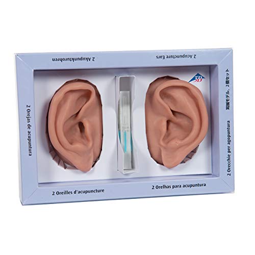 3B Scientific N15 Silicone 2 Acupuncture Ears Model, 3.7" x 2.4" x 1.6"