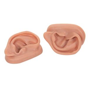 3B Scientific N15 Silicone 2 Acupuncture Ears Model, 3.7" x 2.4" x 1.6"