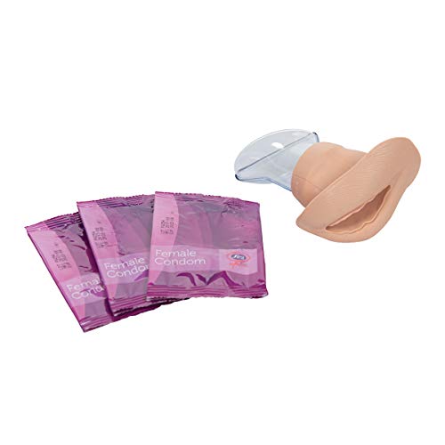 3B Scientific L41/2 Training Model for Female Condom, 4.7" Length