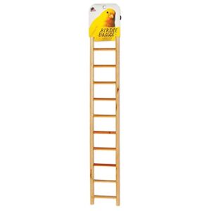 prevue pet products bpv386 birdie basics 11-step wood ladder for bird, 17-inch