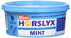 horslyx minis horse licks 650 g