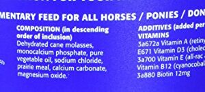 Horslyx Minis Horse Licks, 650g