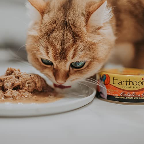 Earthborn Holisitc Catalina Catch Grain-Free Moist Cat Food