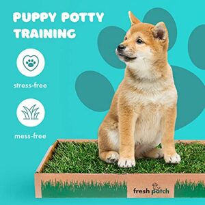 Fresh Patch Standard - Real Grass Pee and Potty Training Pad for Dogs Under 15 Pounds - Indoor and Outdoor Use - 16 Inches x 24 Inches