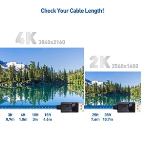 Cable Matters DisplayPort to DisplayPort Cable (DP to DP Cable) 6 Feet - 4K Resolution Ready