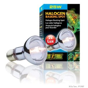 Exo Terra Sun Glo Daylight Halogen Lamp, 25-Watt