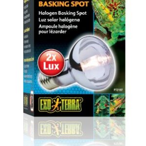 Exo Terra Sun Glo Daylight Halogen Lamp, 25-Watt