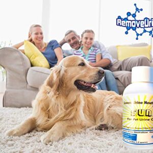 REMOVEURINE Pet Odor Eliminator for Home & Urine Destroyer - Pet Urine Odor Eliminator Spray - Urine Remover for Dogs and Cats - Pet Carpet Cleaner Solution