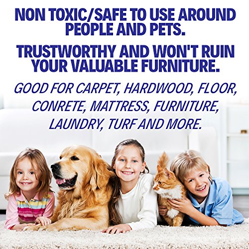 REMOVEURINE Pet Odor Eliminator for Home & Urine Destroyer - Pet Urine Odor Eliminator Spray - Urine Remover for Dogs and Cats - Pet Carpet Cleaner Solution