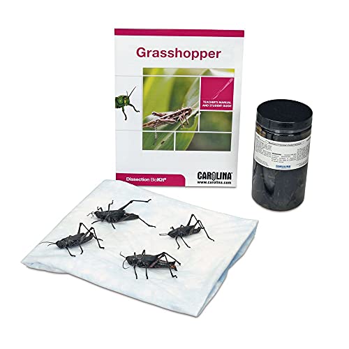 Grasshopper Dissection BioKit