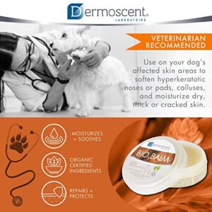 Dermoscent | Bio Balm | Natural, Organic, Healing Dog Paw Balm | Skin & Paw Soother For Dogs With Dry, Cracked, & Rough Paws | Veterinarian-Approved Paw Pad Moisturizer & Protector