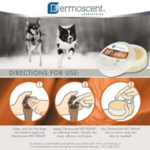 Dermoscent | Bio Balm | Natural, Organic, Healing Dog Paw Balm | Skin & Paw Soother For Dogs With Dry, Cracked, & Rough Paws | Veterinarian-Approved Paw Pad Moisturizer & Protector