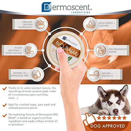 Dermoscent | Bio Balm | Natural, Organic, Healing Dog Paw Balm | Skin & Paw Soother For Dogs With Dry, Cracked, & Rough Paws | Veterinarian-Approved Paw Pad Moisturizer & Protector