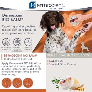 Dermoscent | Bio Balm | Natural, Organic, Healing Dog Paw Balm | Skin & Paw Soother For Dogs With Dry, Cracked, & Rough Paws | Veterinarian-Approved Paw Pad Moisturizer & Protector