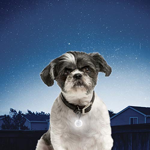 Nite Ize PetLit LED Collar Light, Dog Or Cat Collar Light, Replaceable Batteries, White LED Jewel Design